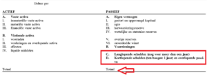 Solvabiliteit berekenen: formule en voorbeelden voor Nederlandse ...